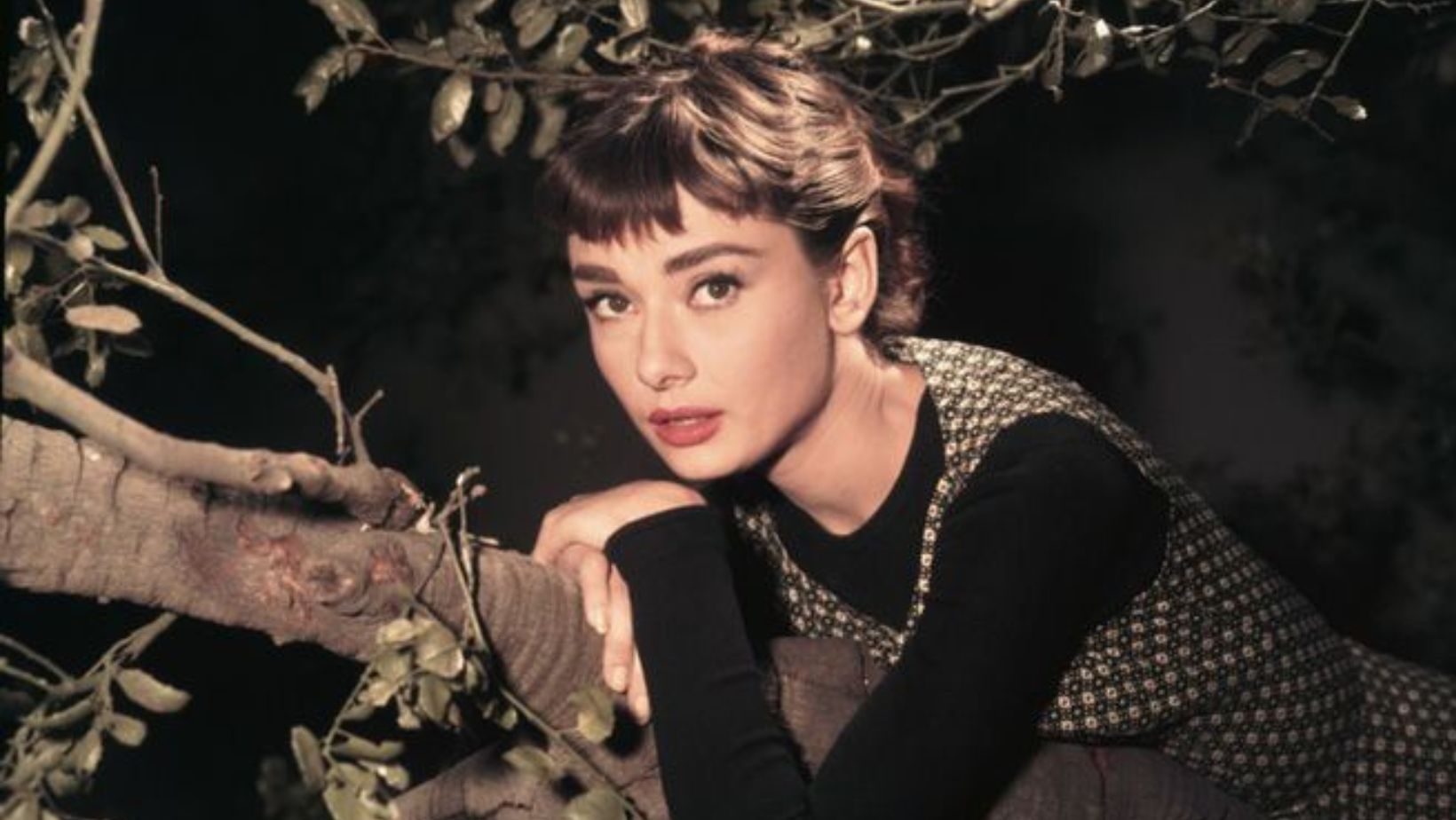 'Tượng đài sắc đẹp' Audrey Hepburn giữ mãi vẻ đẹp toả sáng nhờ những bí kíp