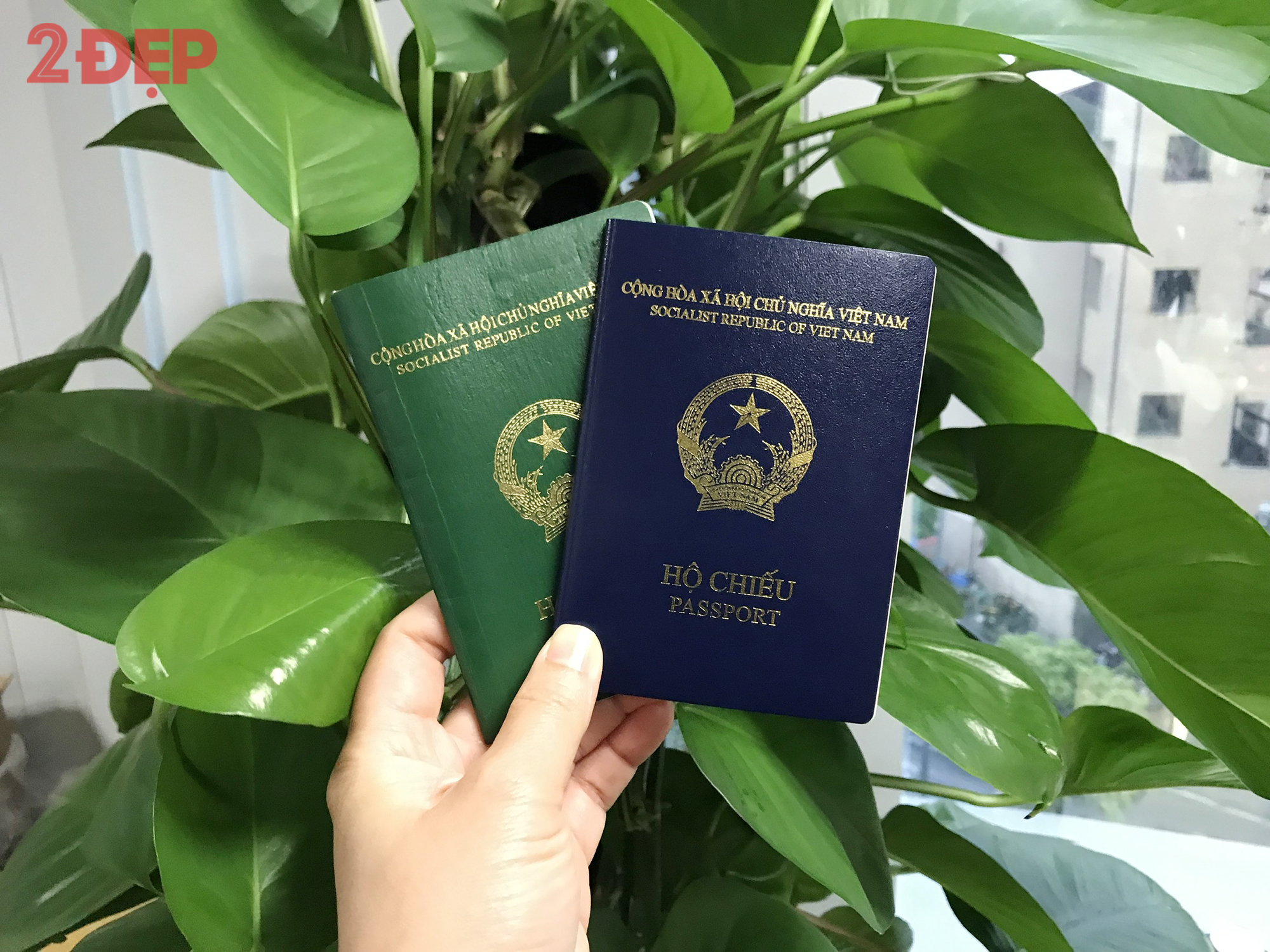 Hướng Dẫn Xin Cấp Lại Hộ Chiếu Mới, Đổi Hộ Chiếu Tại Hà Nội